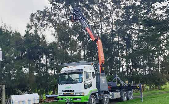 Tree Services | Consultants for all Vegetation Control in Northland