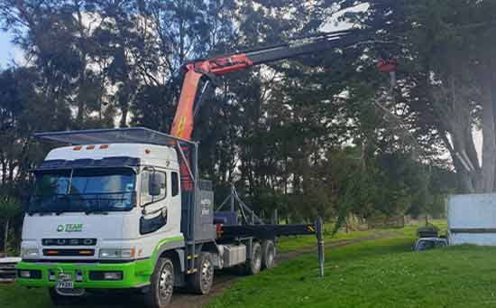 Tree Services | Consultants for all Vegetation Control in Northland