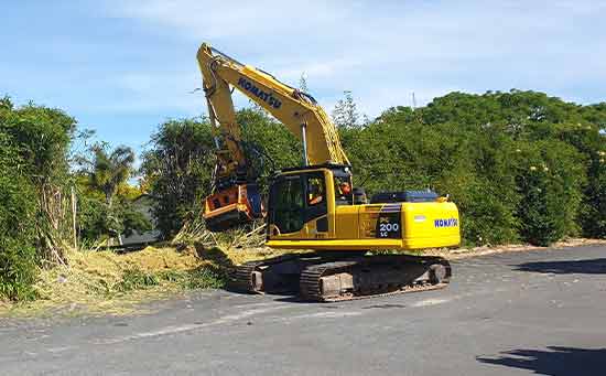 Tree Services | Consultants for all Vegetation Control in Northland