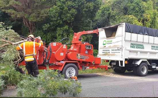 Consultants for all Vegetation Control in Northland